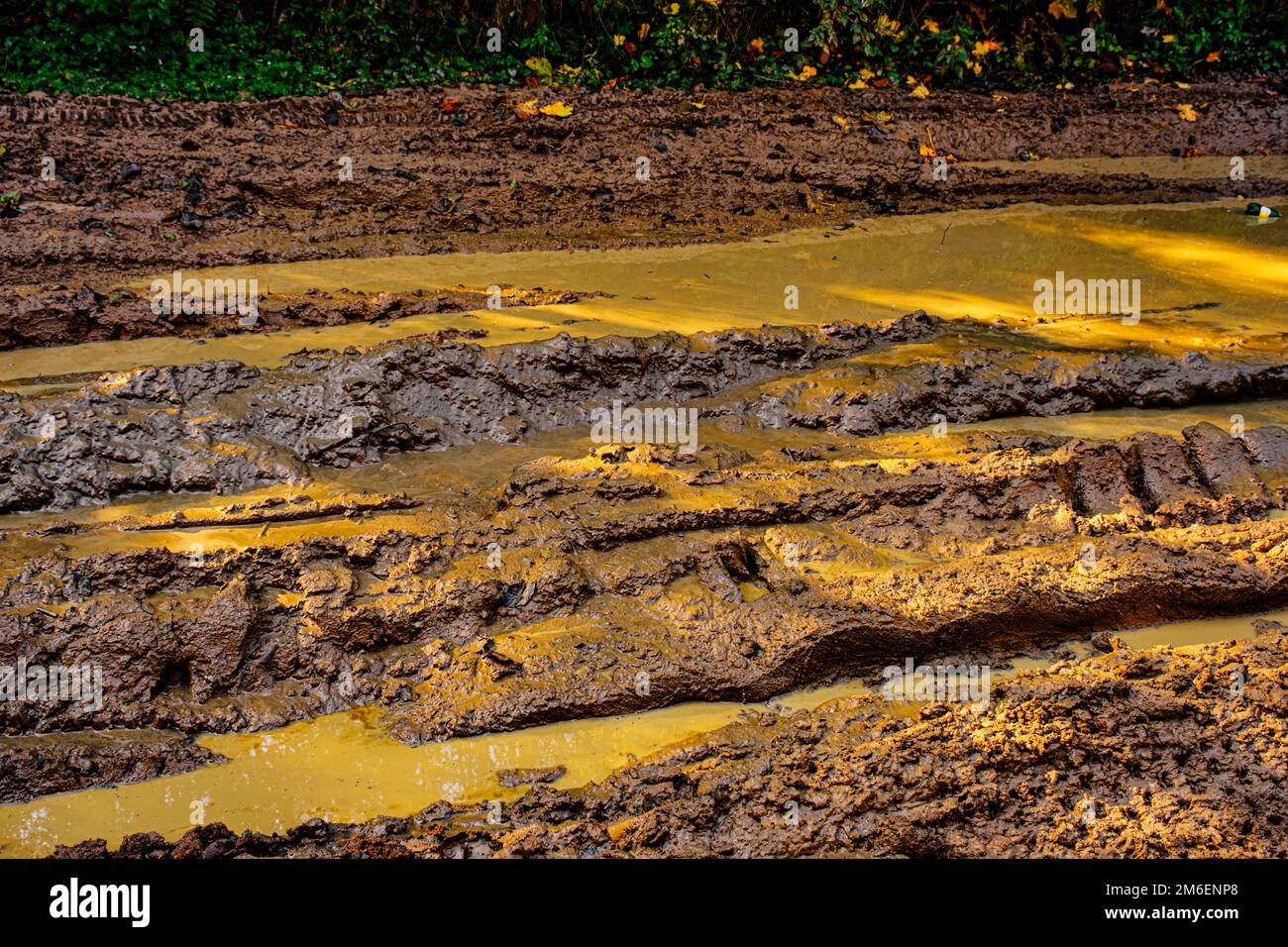 traces of cars in the mud, close view Stock Photo - Alamy