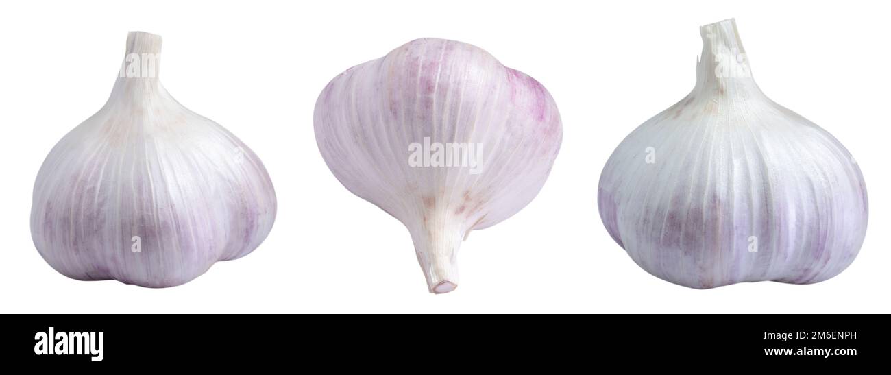 Set of garlic bulb isolated on white background Stock Photo - Alamy