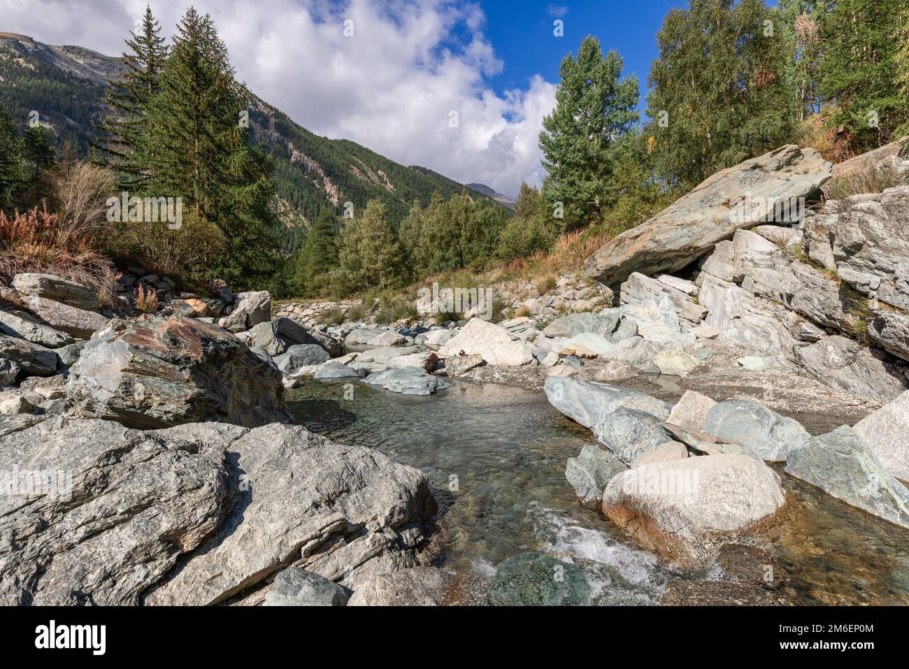 Mountain ice stream among granite rocks covered with mixed green forest ...