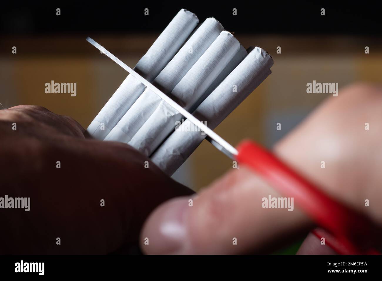 Quit smoking. Closeup of man hands holding bunch of cigarettes and ...