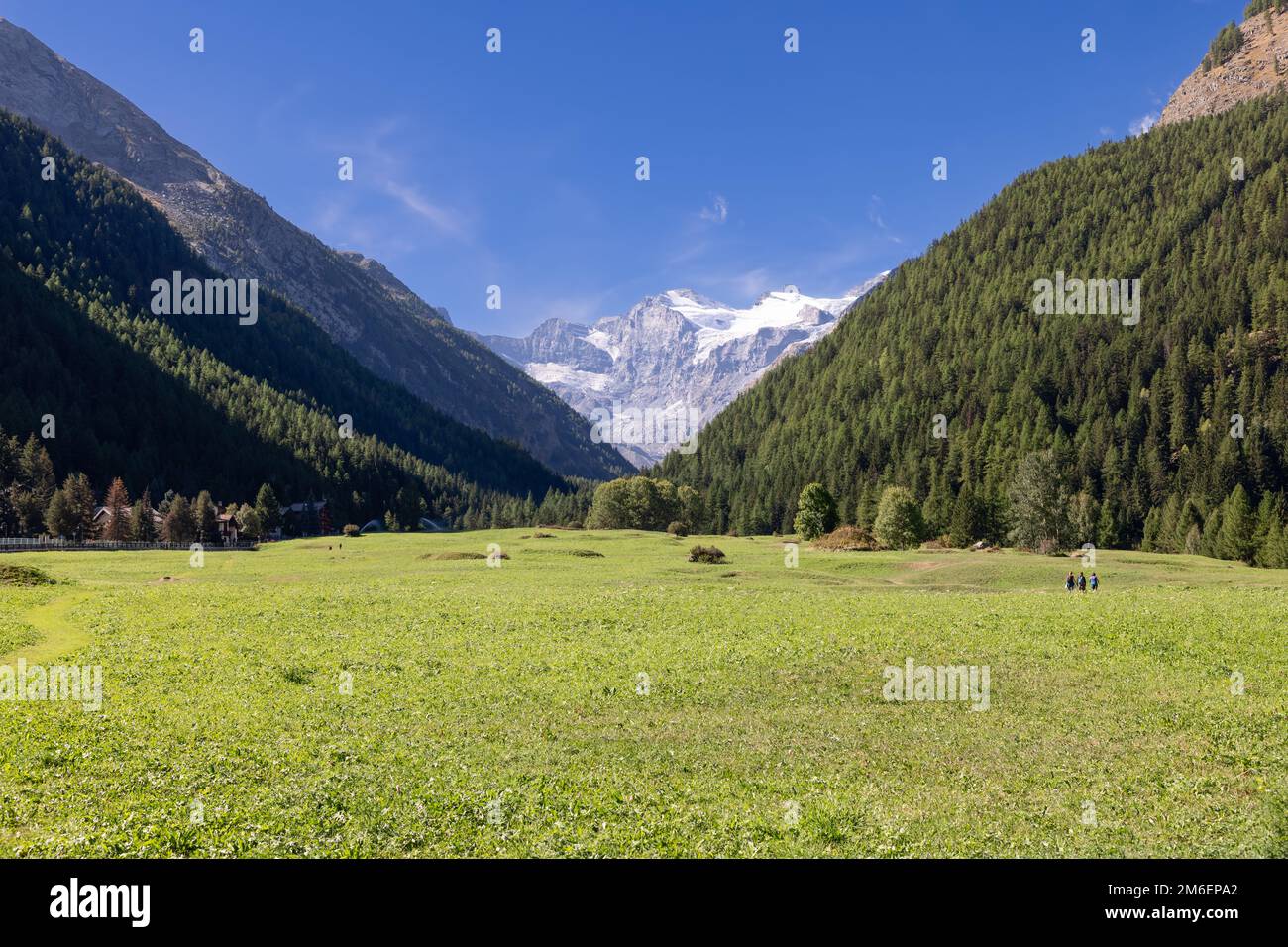 3 trekkers cross flat evergreen famous Alpine Sant Orso meadow ...