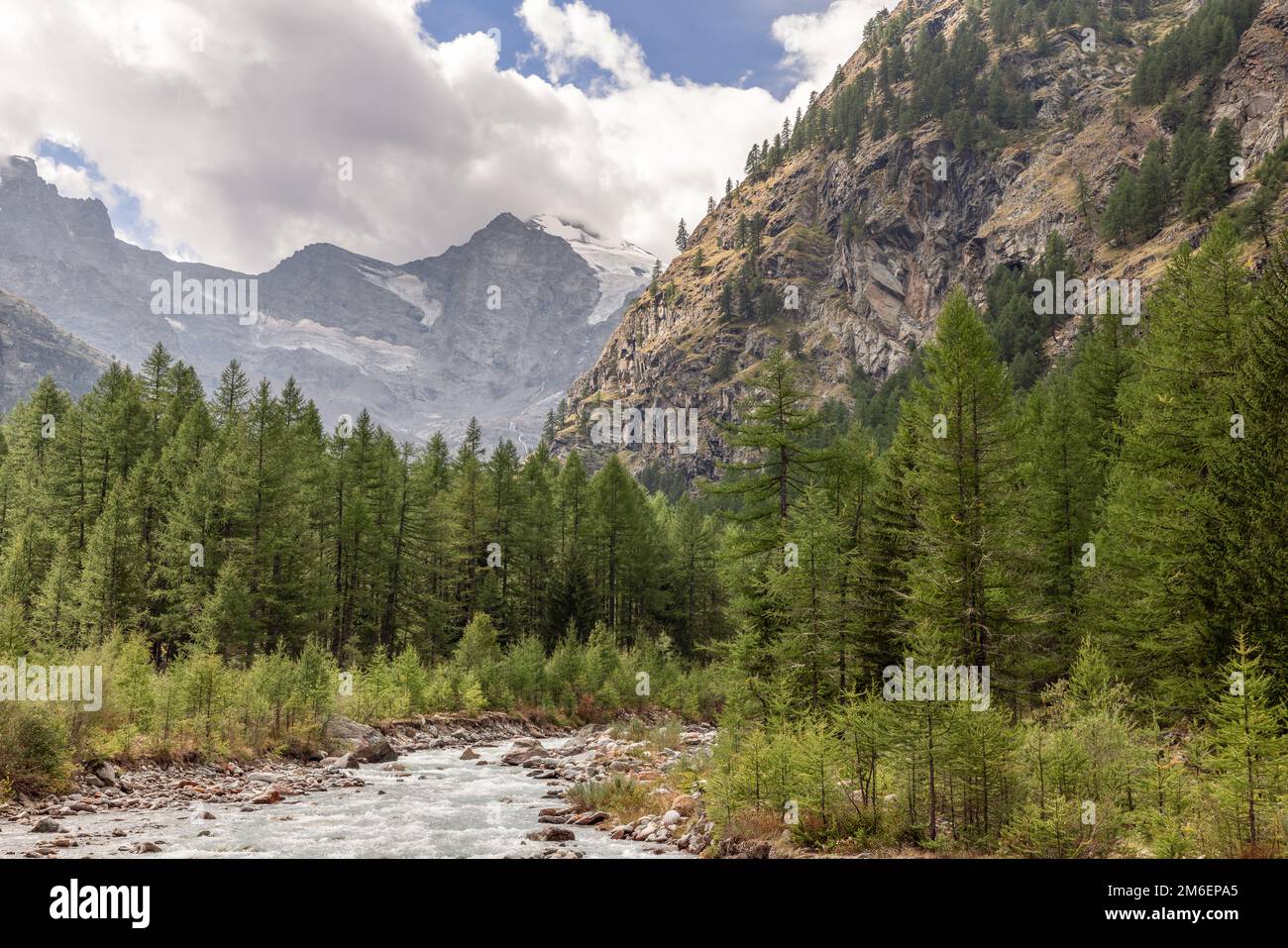 Steep granite slope gives way to mountain gorge with evergreen pine ...