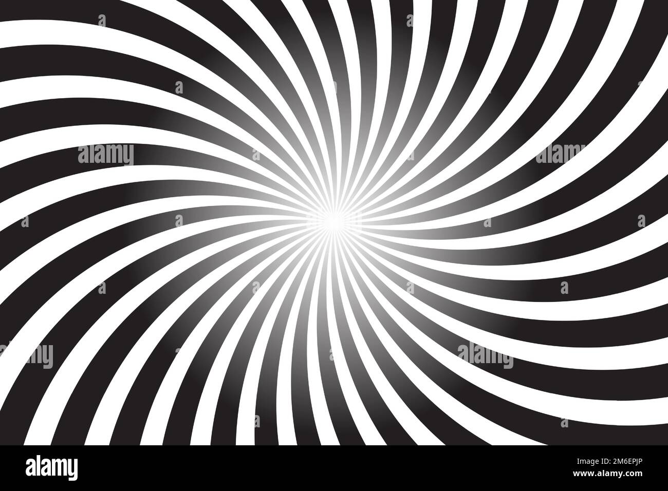 Abstract black and white zebra background with sun ray. Summer vector ...