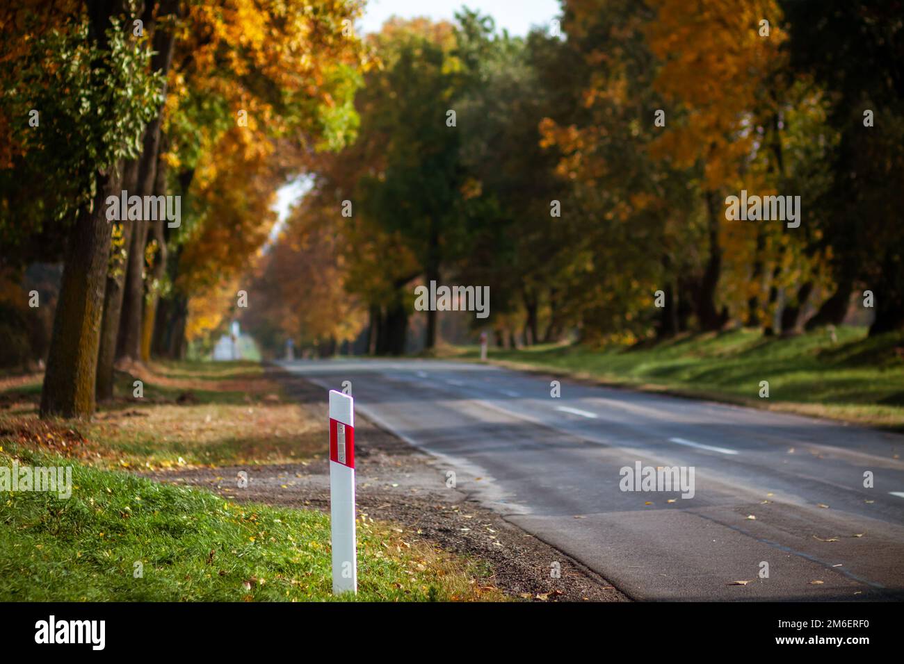 Highway through autumn forest hi-res stock photography and images - Alamy