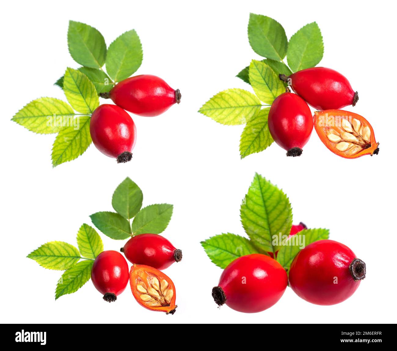 rose hip berry and half berry with leaf isolated on white background ...
