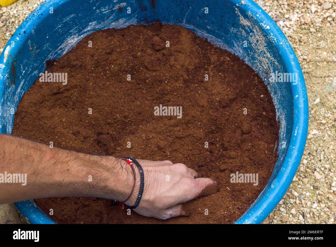 A hand grabbing soil from a blue container Stock Photo - Alamy