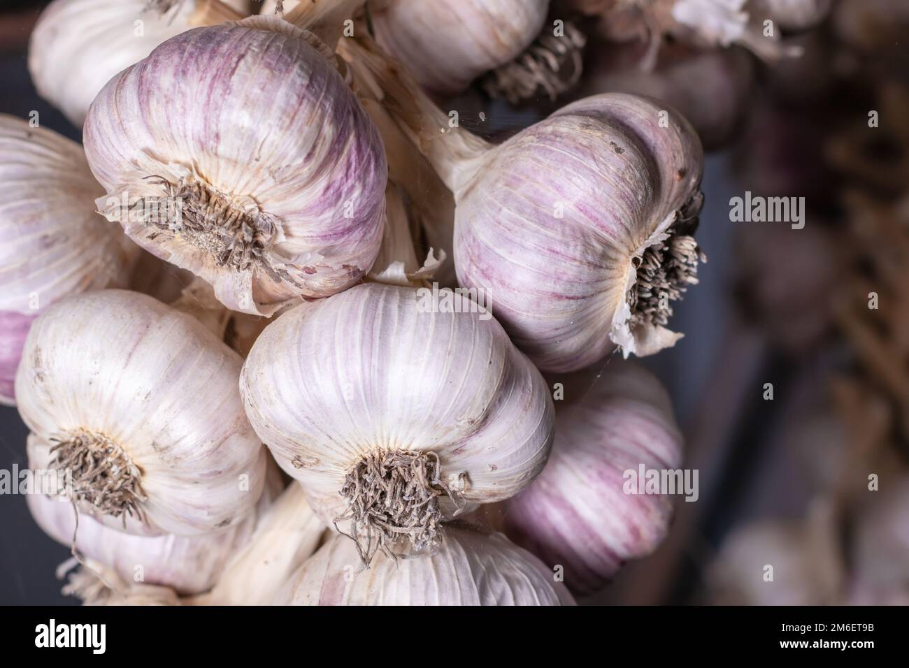 Harvested garlic hanging in bundles to dry Stock Photo - Alamy