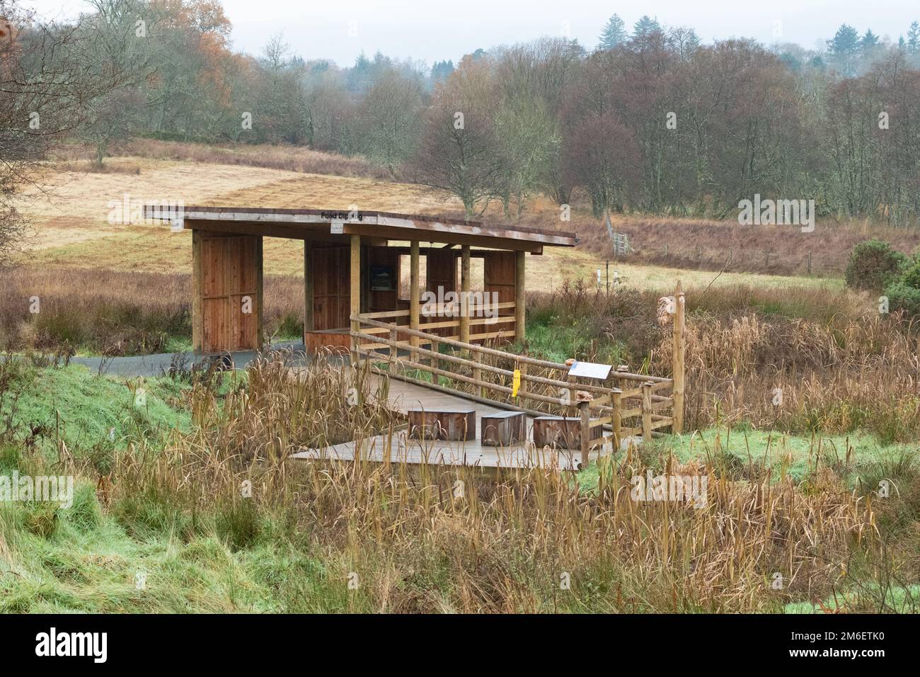 Pond dipping rspb loch lomond hi-res stock photography and images - Alamy