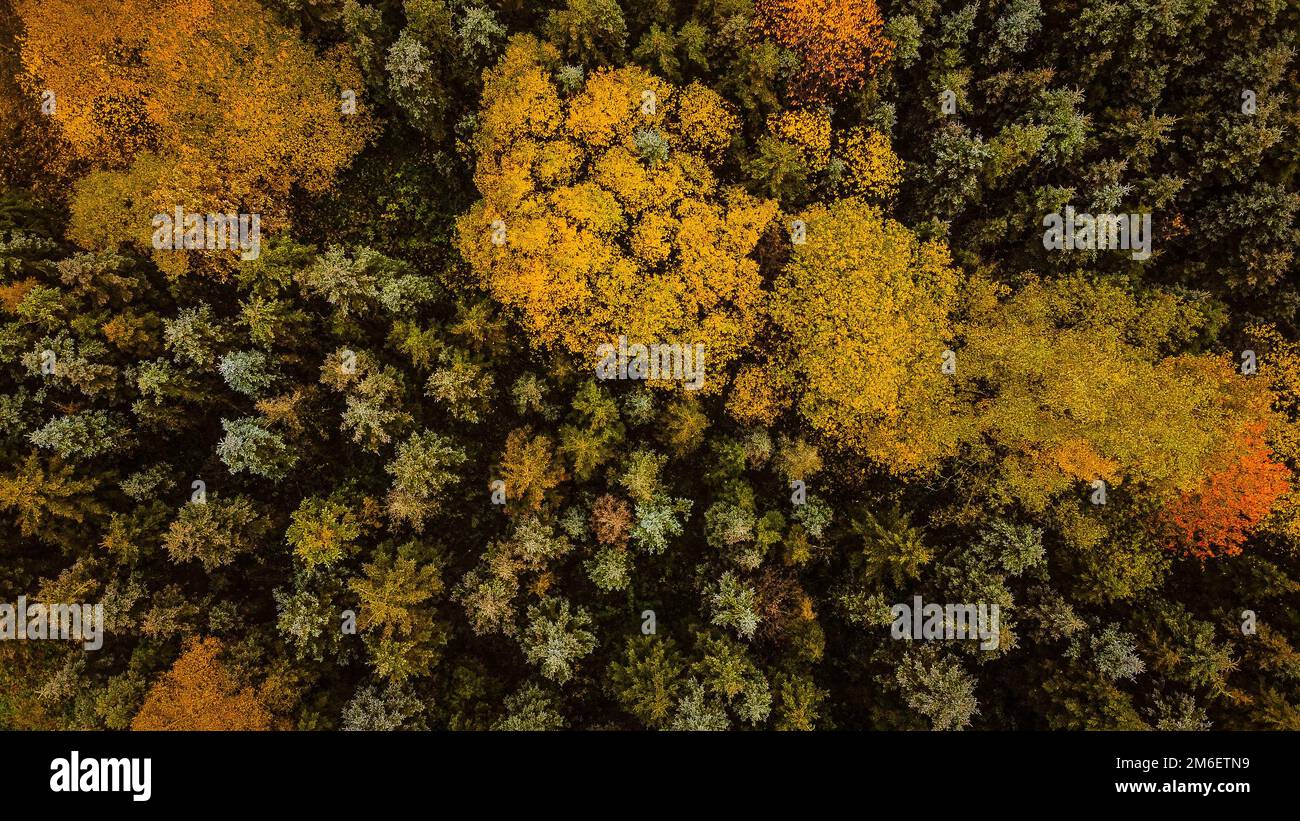 Aerial tree planting hi-res stock photography and images - Alamy