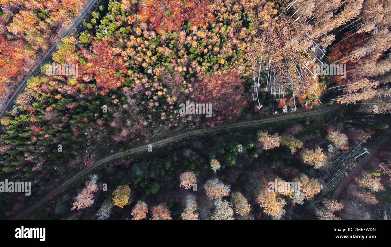 State forest conservation area hi-res stock photography and images - Alamy