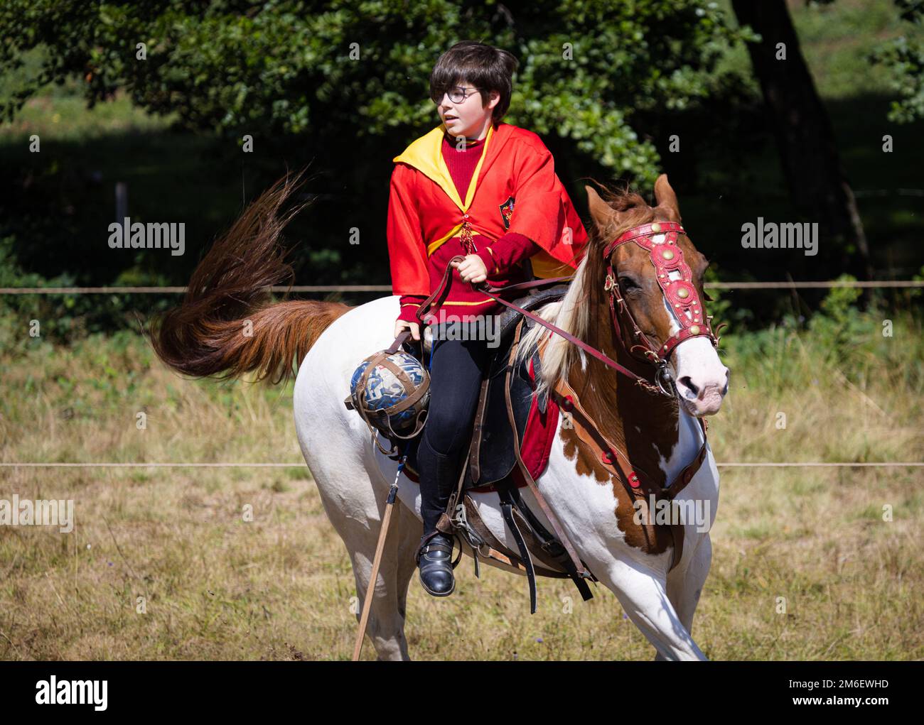 Slytherin quidditch hi-res stock photography and images - Alamy