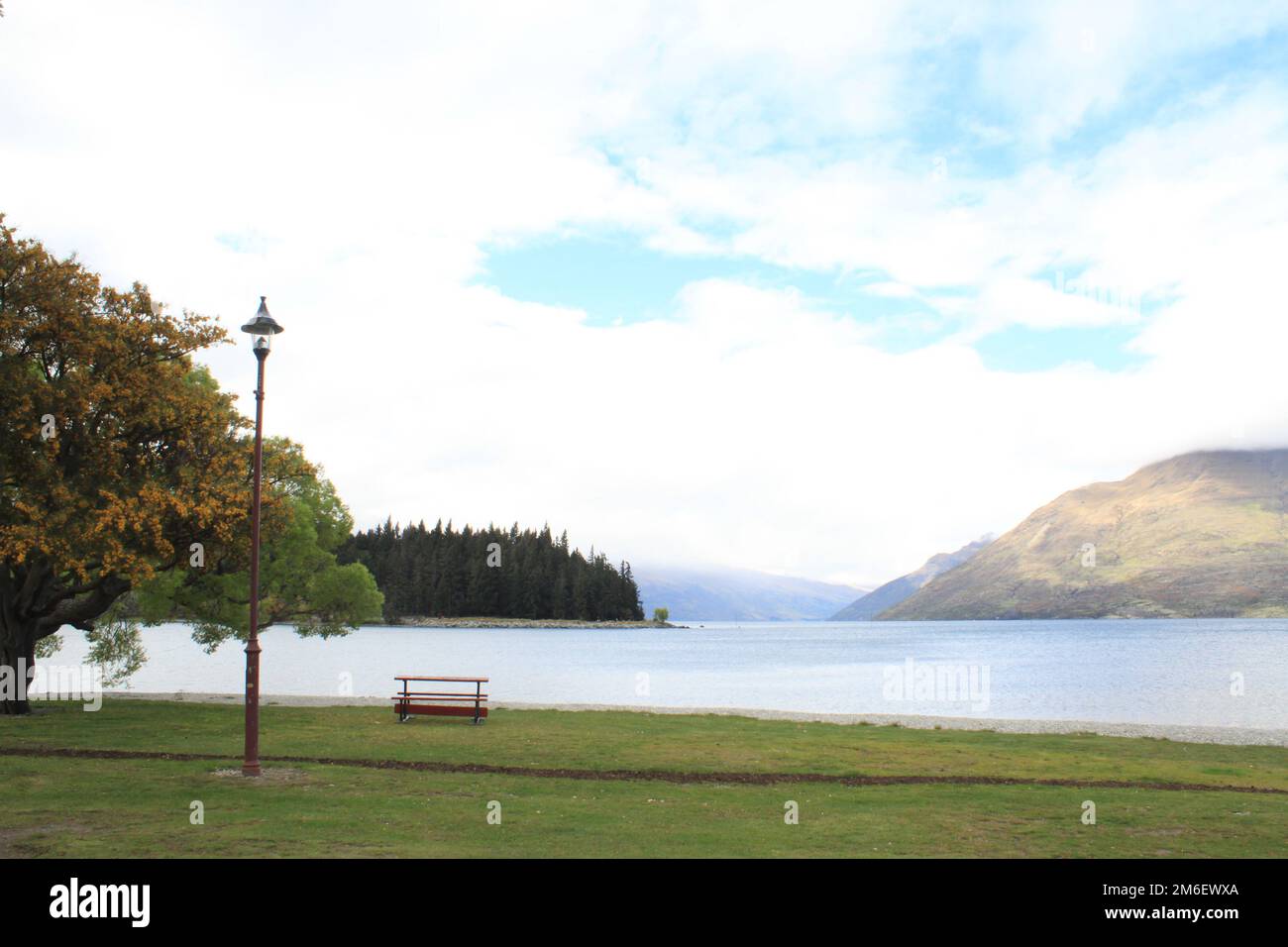 Queenstown forest view while horse-back riding Stock Photo - Alamy