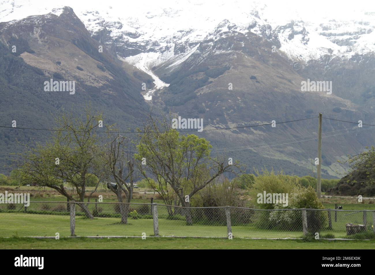 Queenstown forest view while horse back riding Stock Photo - Alamy