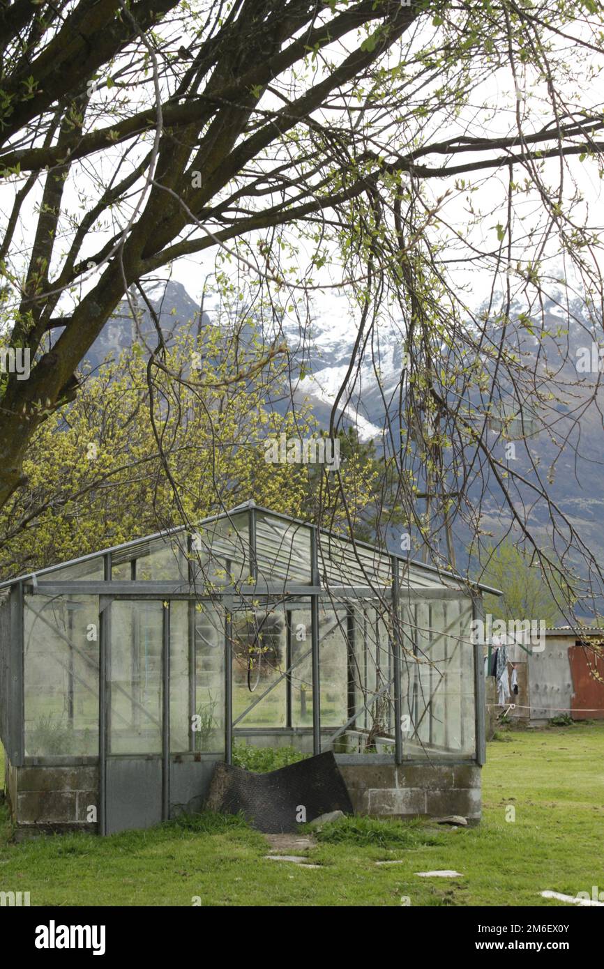 Queenstown forest view: while horse back riding Stock Photo - Alamy