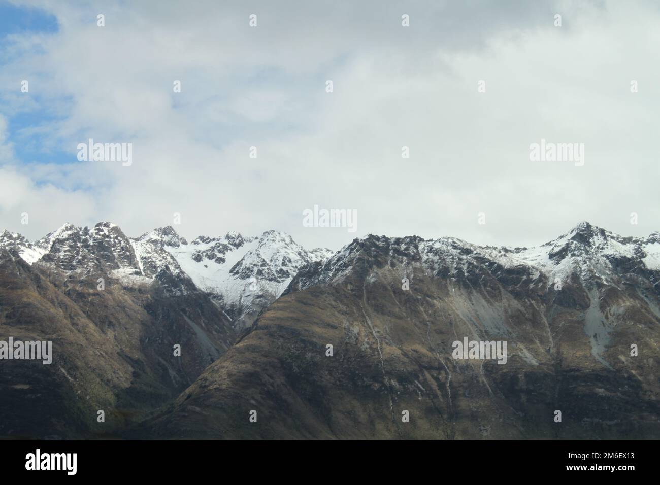 Queenstown forest view while horse-back riding Stock Photo - Alamy