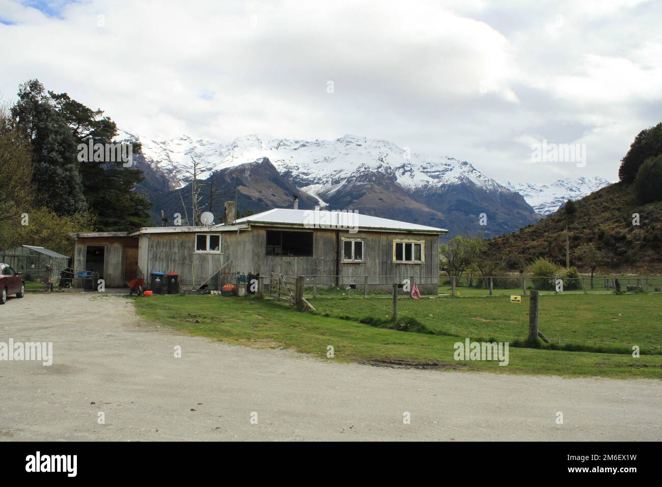 Queenstown forest view while horse back riding Stock Photo - Alamy