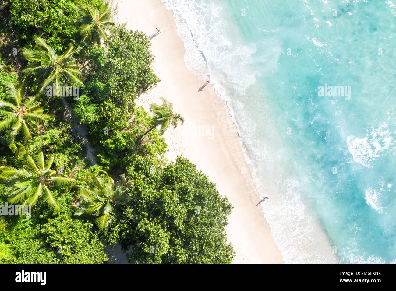 Seychellen Seychelles Takamaka Strand Palmen Ozean Drohne aerial ...