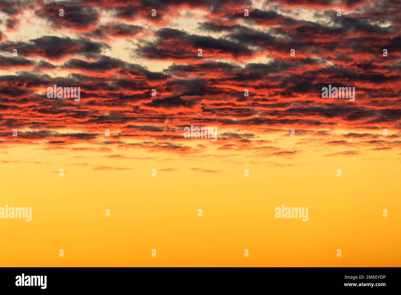 Gold and purple sky hi-res stock photography and images - Alamy