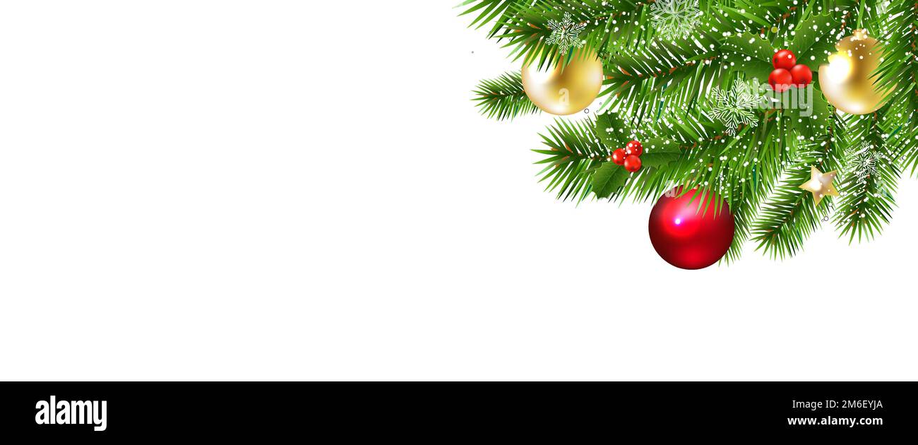 Christmas Fir Tree Border And White background Stock Photo - Alamy