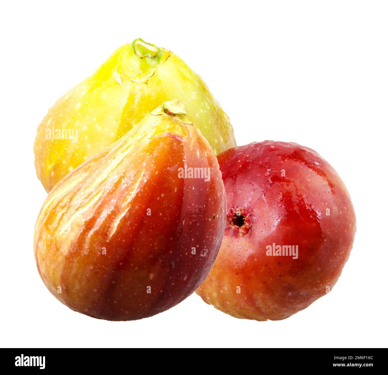 Common fig on white background. Ficus carica is an Asian species of ...