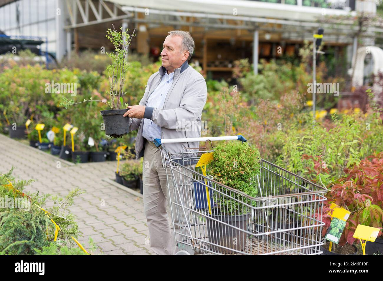 Caucasian man choosing sprouts in garden center Stock Photo - Alamy