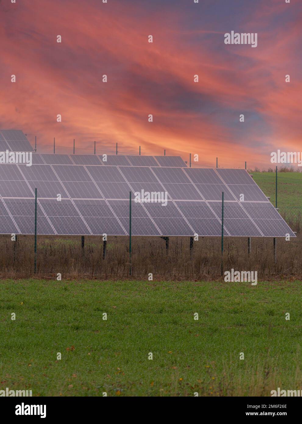 A vertical shot of the solar panels in the field at sunset. Concept of ...