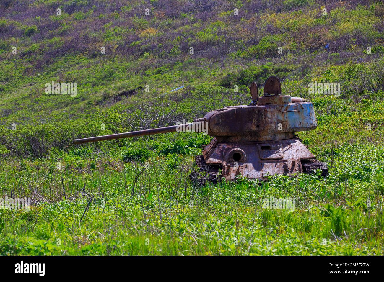 An old rusty tank stands in the middle of thick grass near the seashore ...