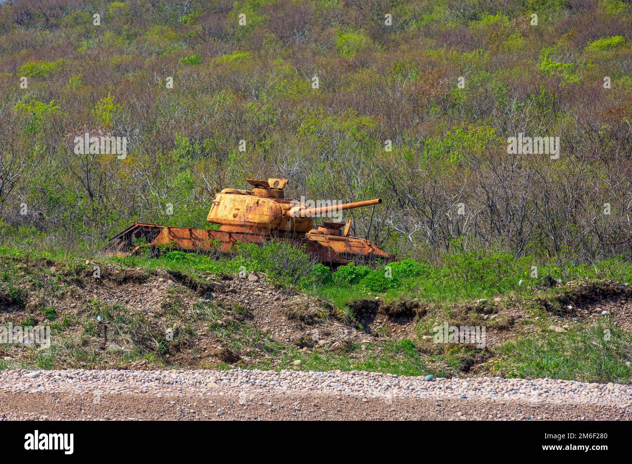 An old rusty tank stands in the middle of thick grass near the seashore ...