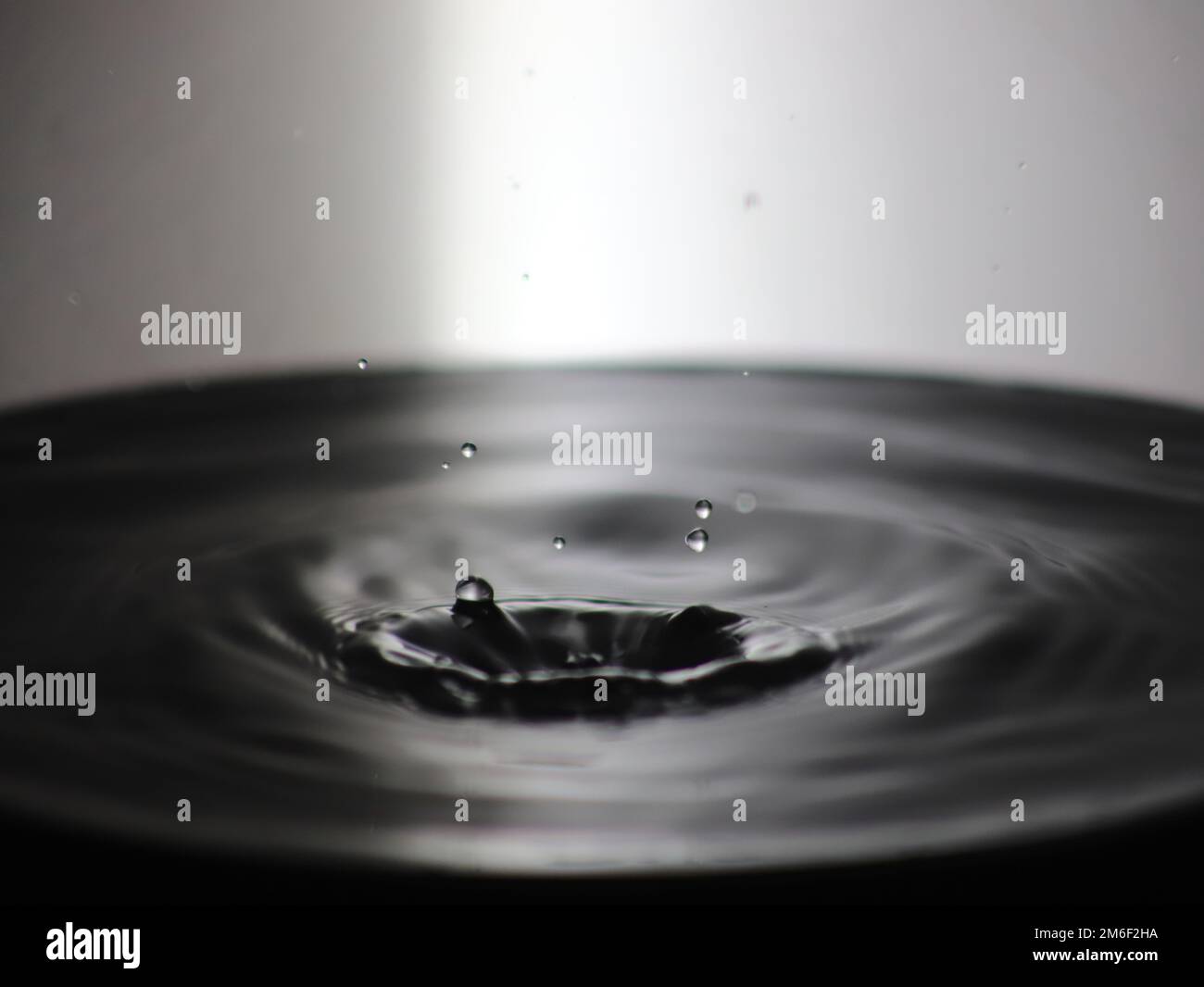 A grayscale of the water drops splashing into the surface of the water ...
