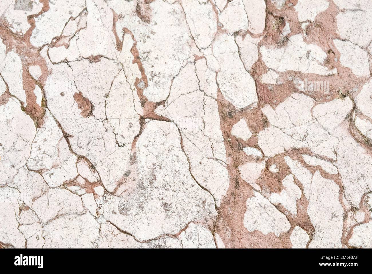 Floor marble texture hi-res stock photography and images - Alamy