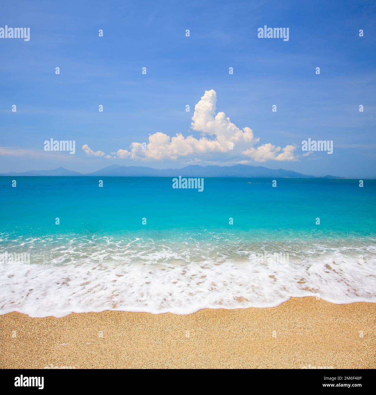 Beautiful sea surf summer hi-res stock photography and images - Alamy