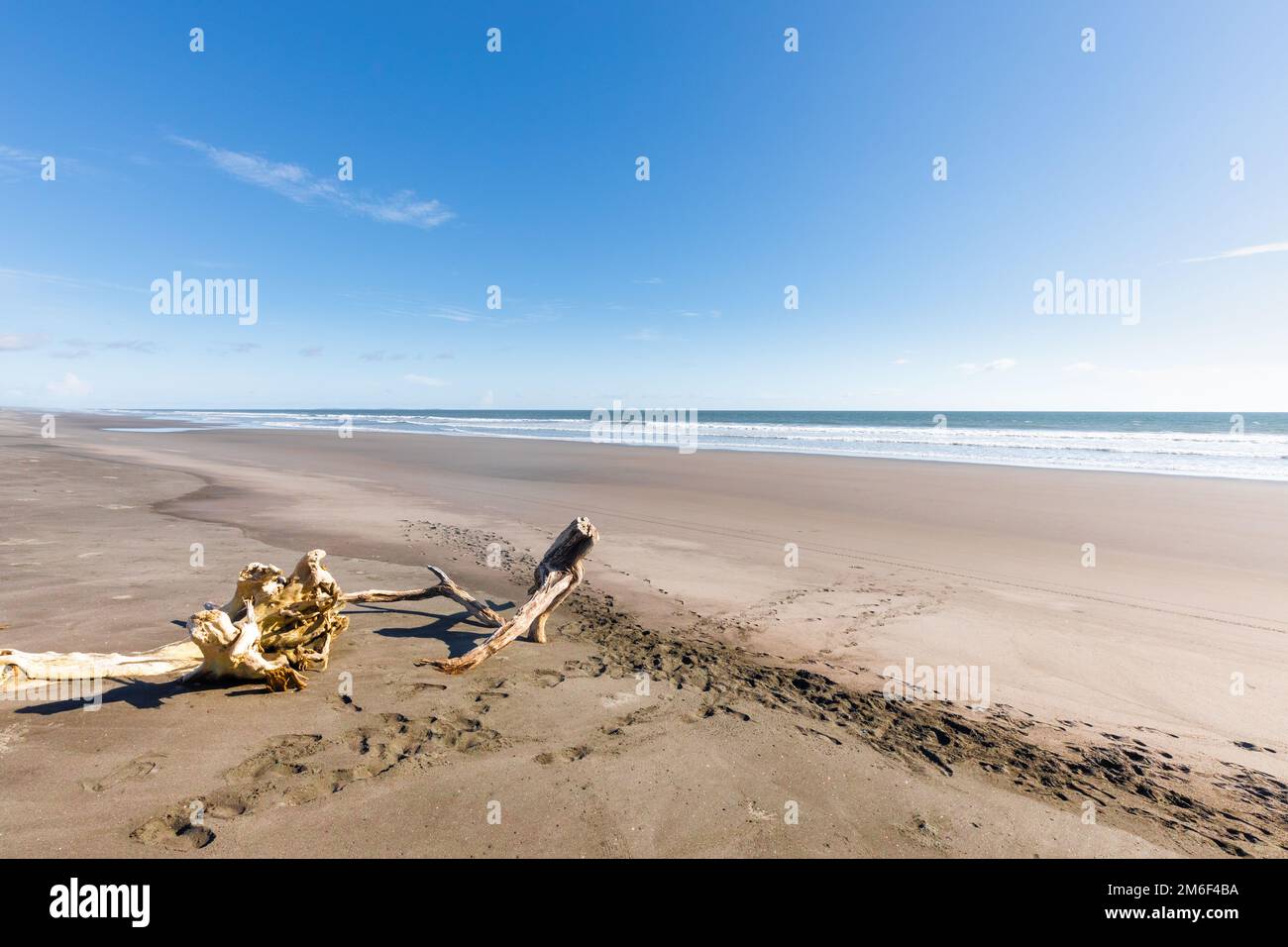 Panama Barqueta beach, logs on the shoreline Stock Photo - Alamy