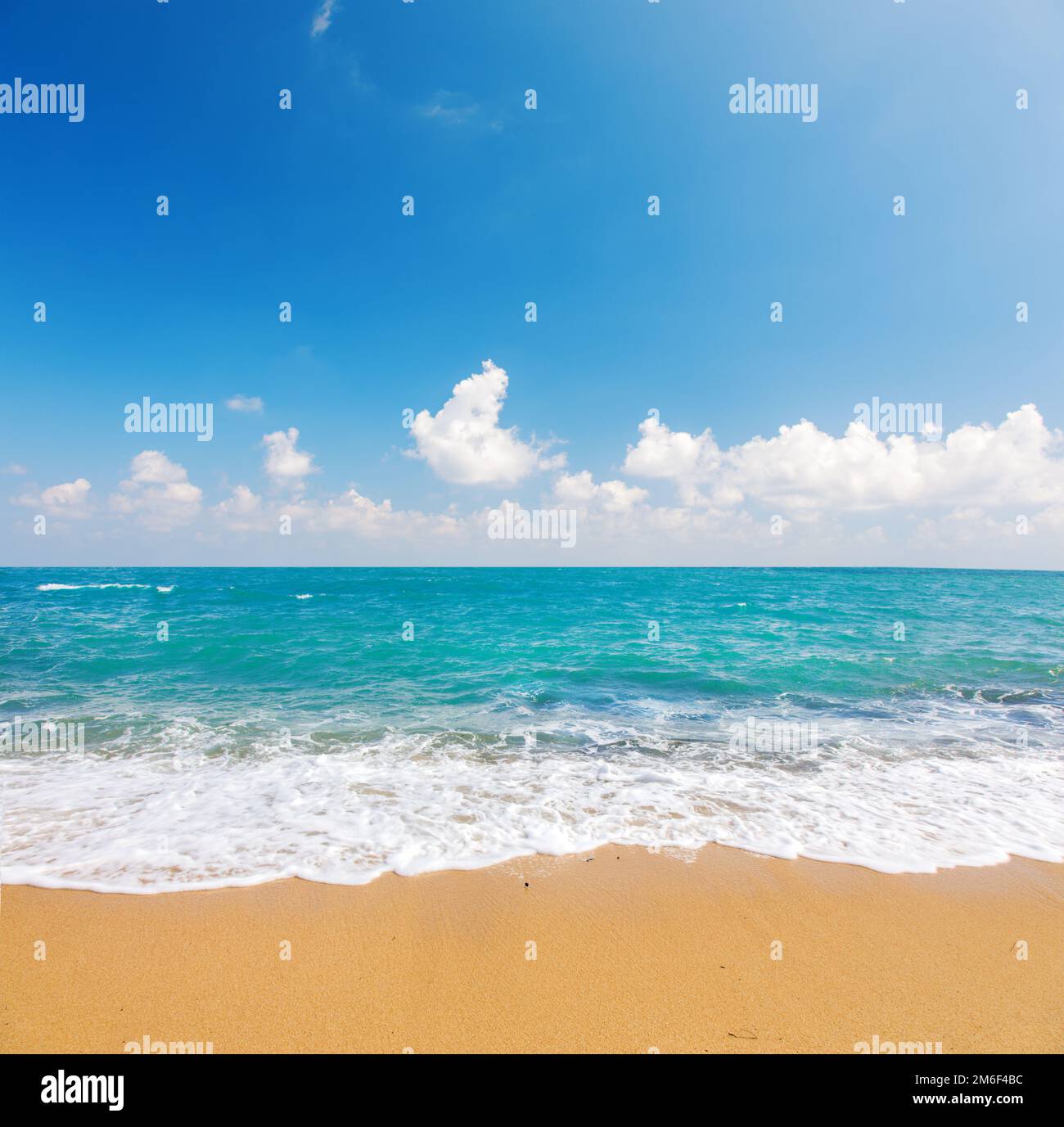 Beautiful sea surf summer hi-res stock photography and images - Alamy