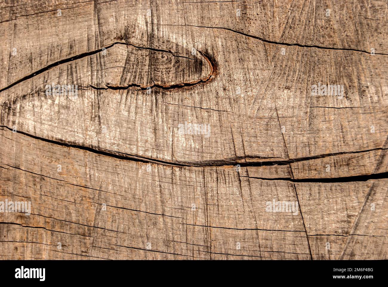 Old cut weathered tree surface closeup as wooden background Stock Photo ...