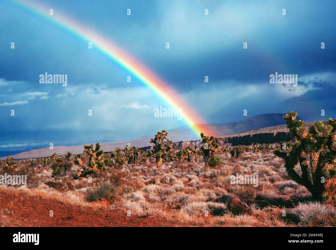 Rainbow in desert, Nevada Stock Photo - Alamy