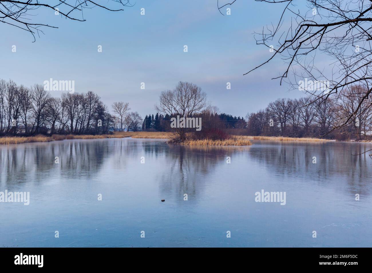 Trees mirror in frozen lake Stock Photo - Alamy
