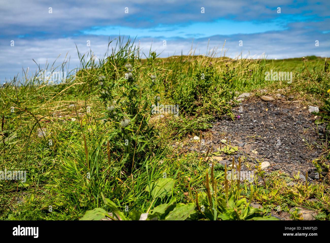 Inishcrone beach hi-res stock photography and images - Alamy