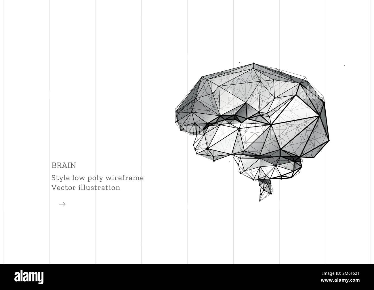 Human wireframe head and brain Black and White Stock Photos & Images ...