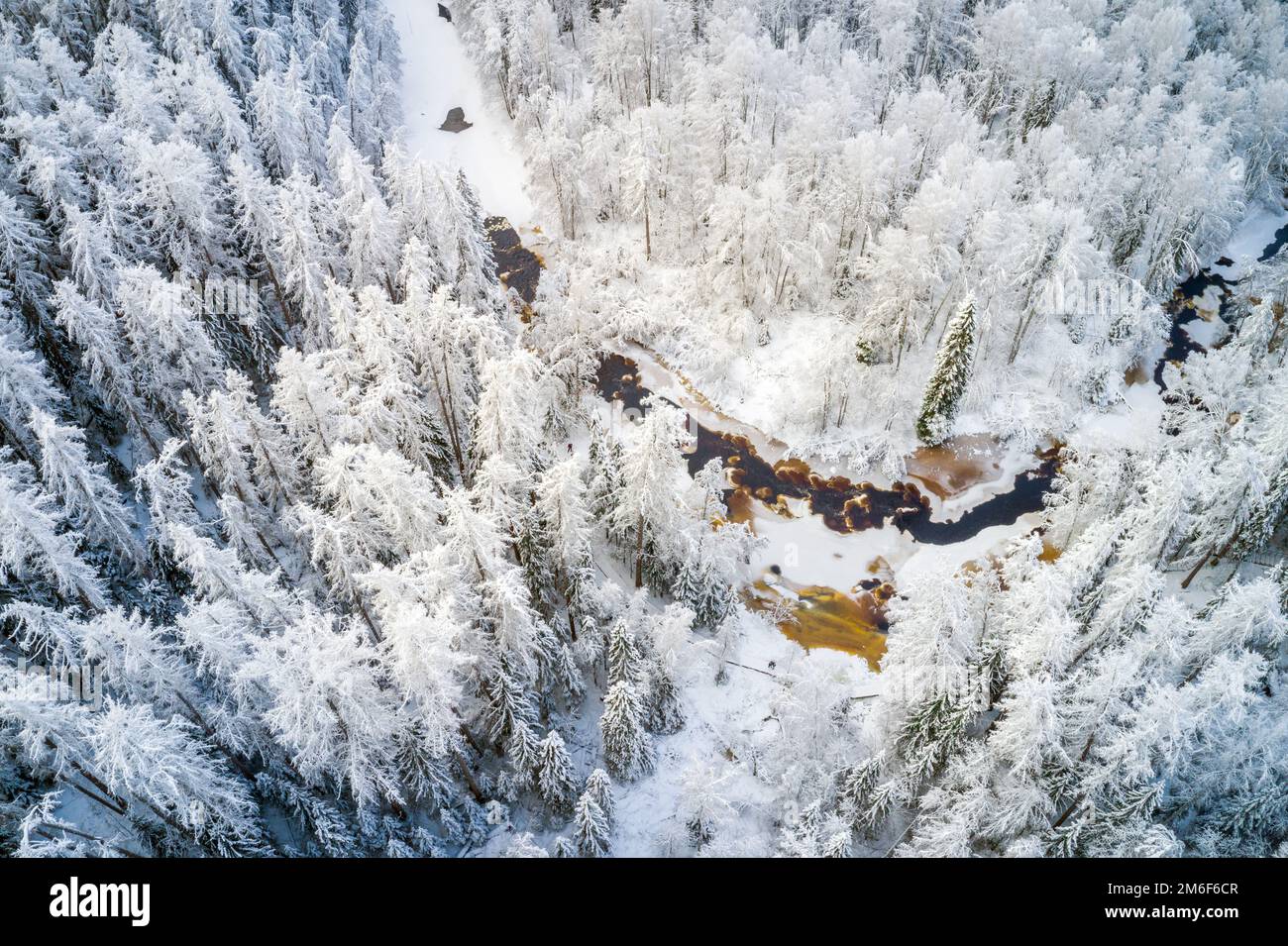 Beautiful winter river forest hi-res stock photography and images - Alamy