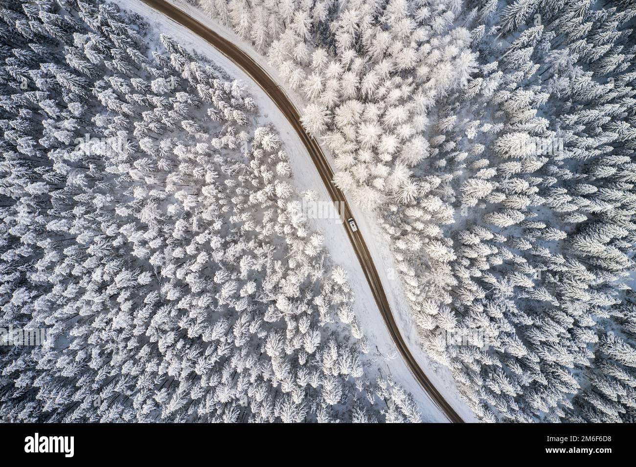 Aerial view forest beautiful hi-res stock photography and images - Alamy