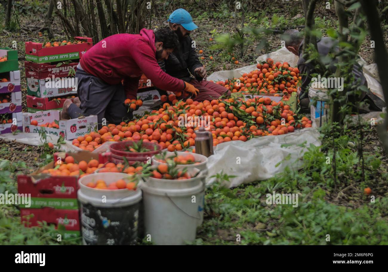 January 4, 2023, Gaza City, The Gaza Strip, Palestine: Palestinian ...