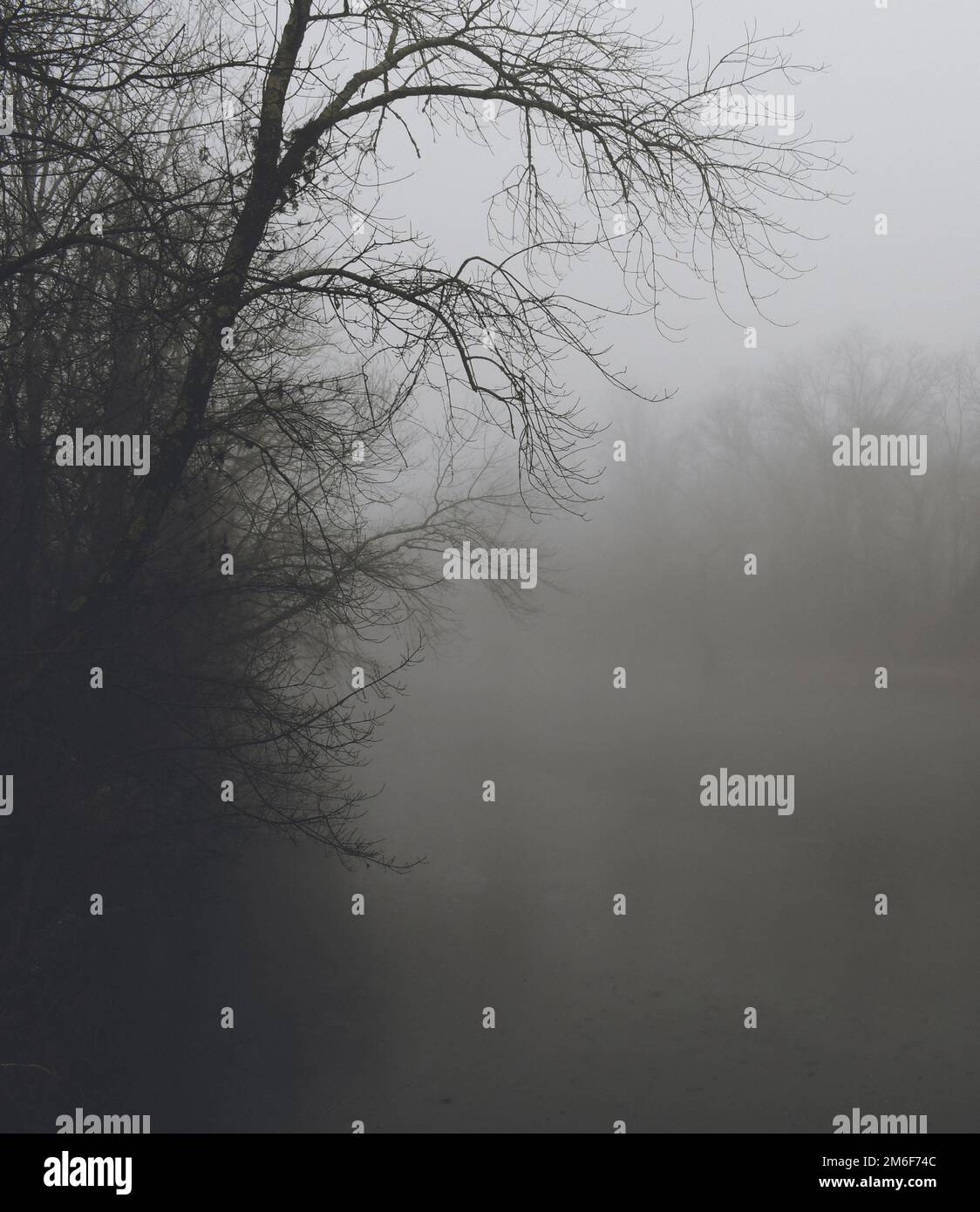 Winter fog over the Delaware canal Stock Photo - Alamy