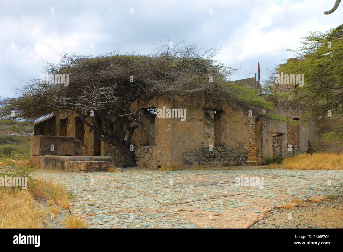 Ruins of the old Balashi Gold Mine, Aruba Stock Photo - Alamy
