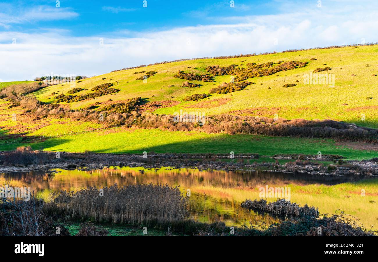 Fields and Farms over Man Sands from a drone, Brixham, Kingswear, Devon ...