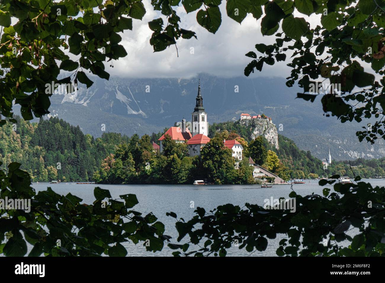 A view of the historic Bled castle taken from trees across the Bled ...