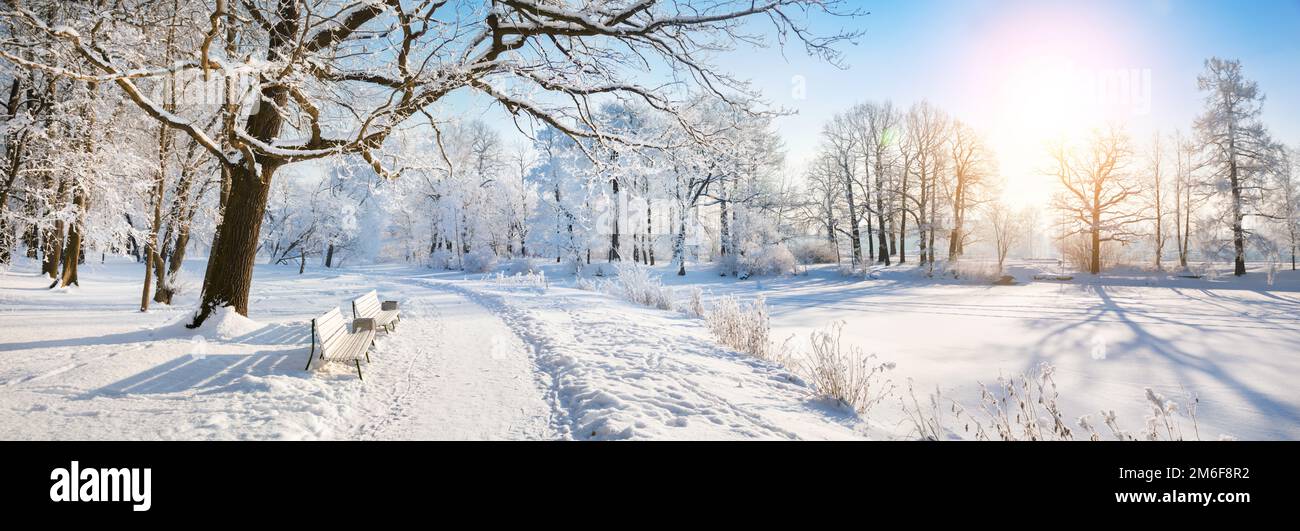 Panorama of beautiful winter park Stock Photo - Alamy