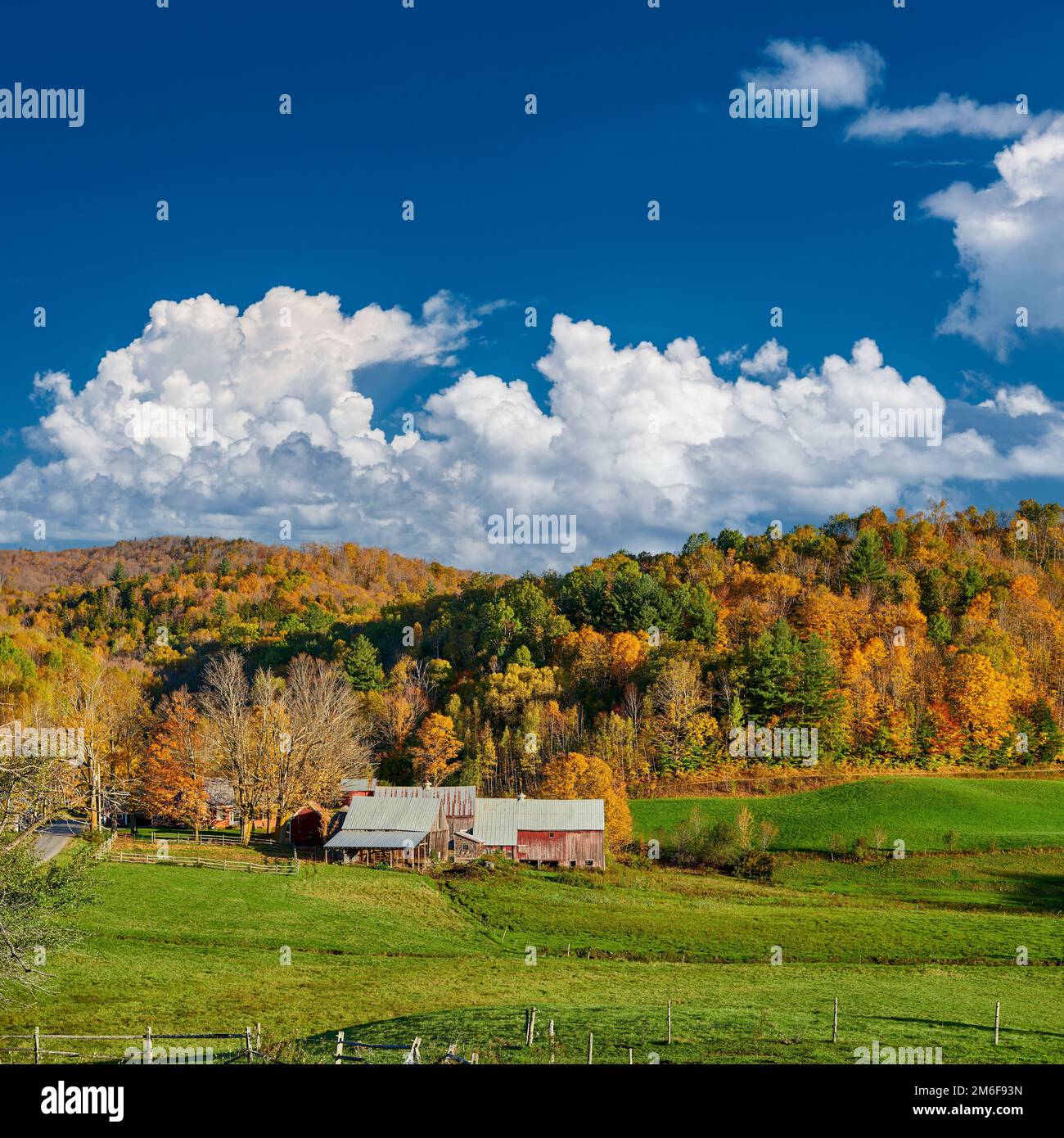 Jenne hi-res stock photography and images - Alamy