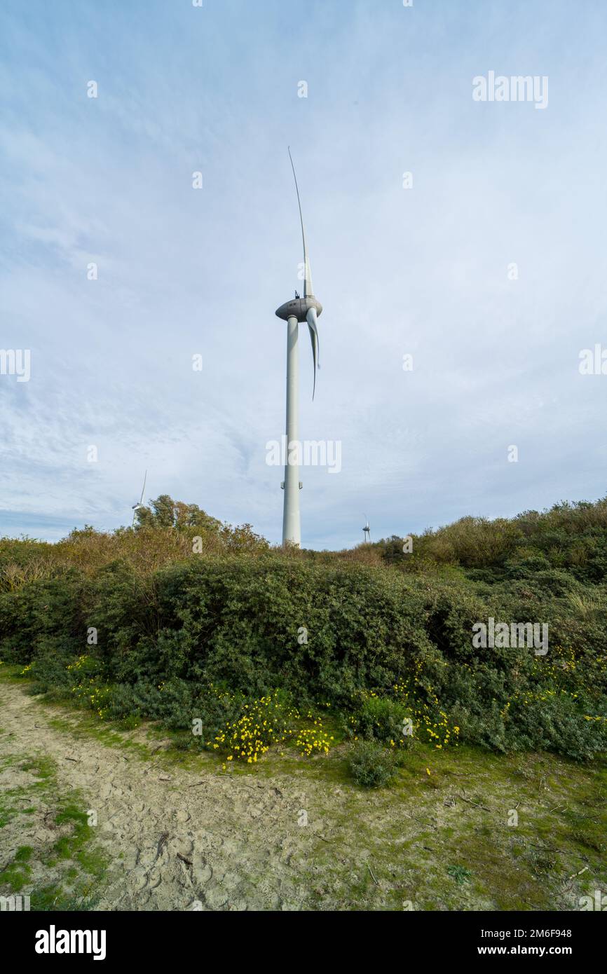 Windturbines at Neeltje Jans island, The Netherlands Stock Photo - Alamy