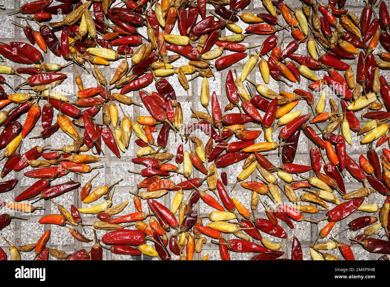 Chili pepper background. Hot red chili peppers are dried in the sun ...