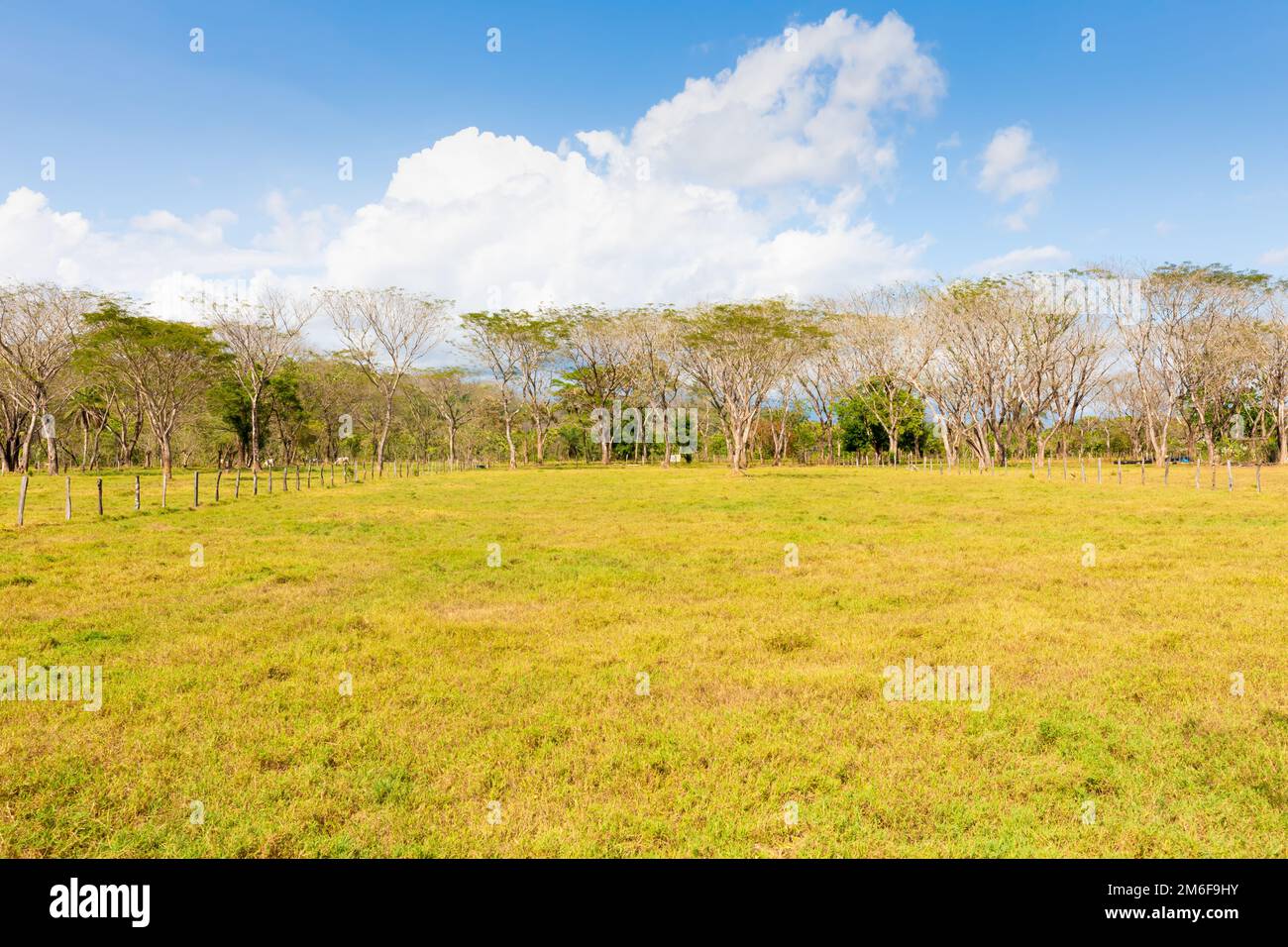 Panama Los Zambrano David district, rural area panoramic view Stock ...